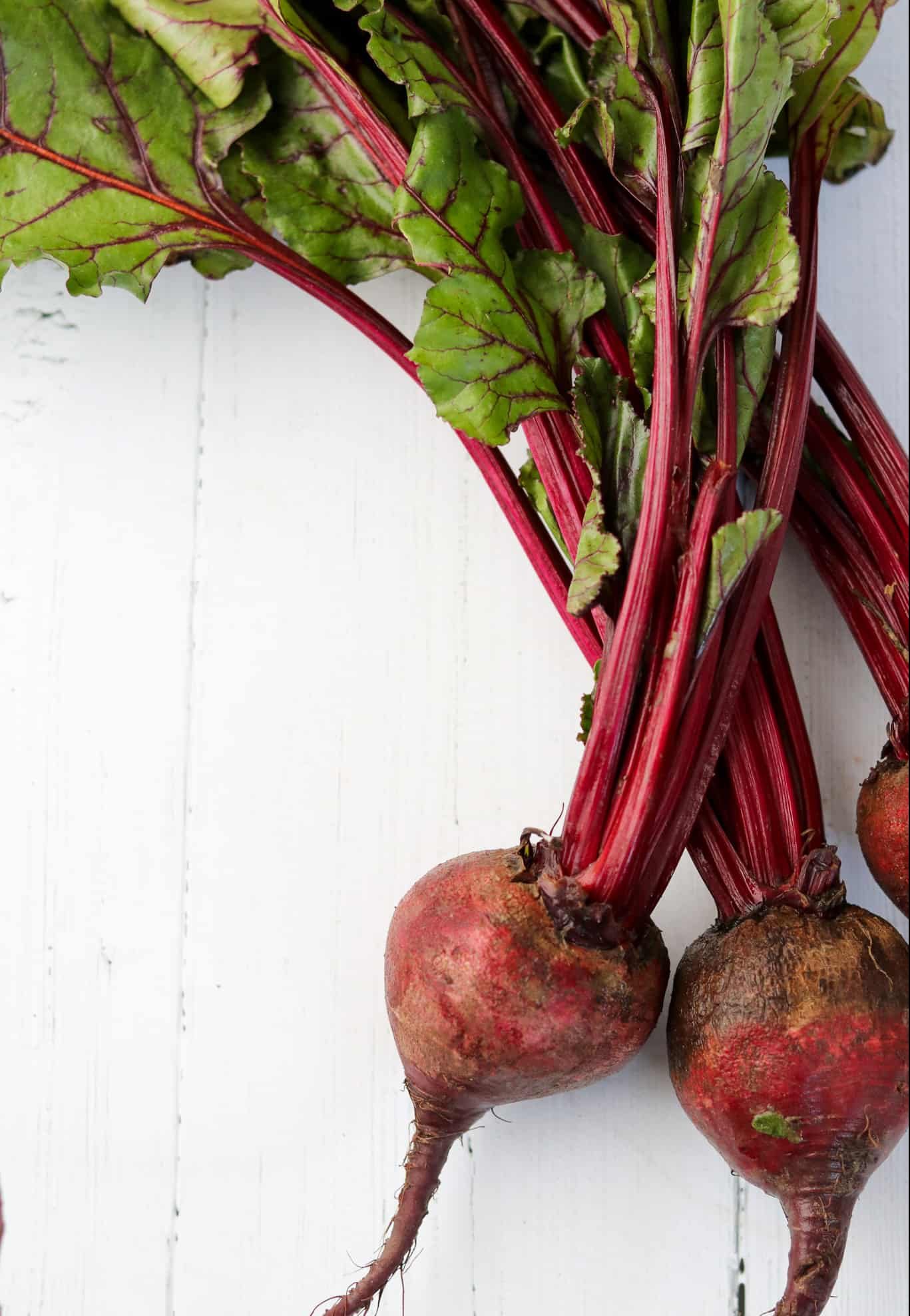 A New Nordic Kitchen | True North Kitchen