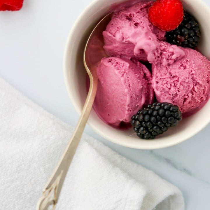 Nordic Wild Berry Frozen Skyr - True North Kitchen