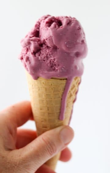 Nordic Wild Berry Frozen Skyr - True North Kitchen