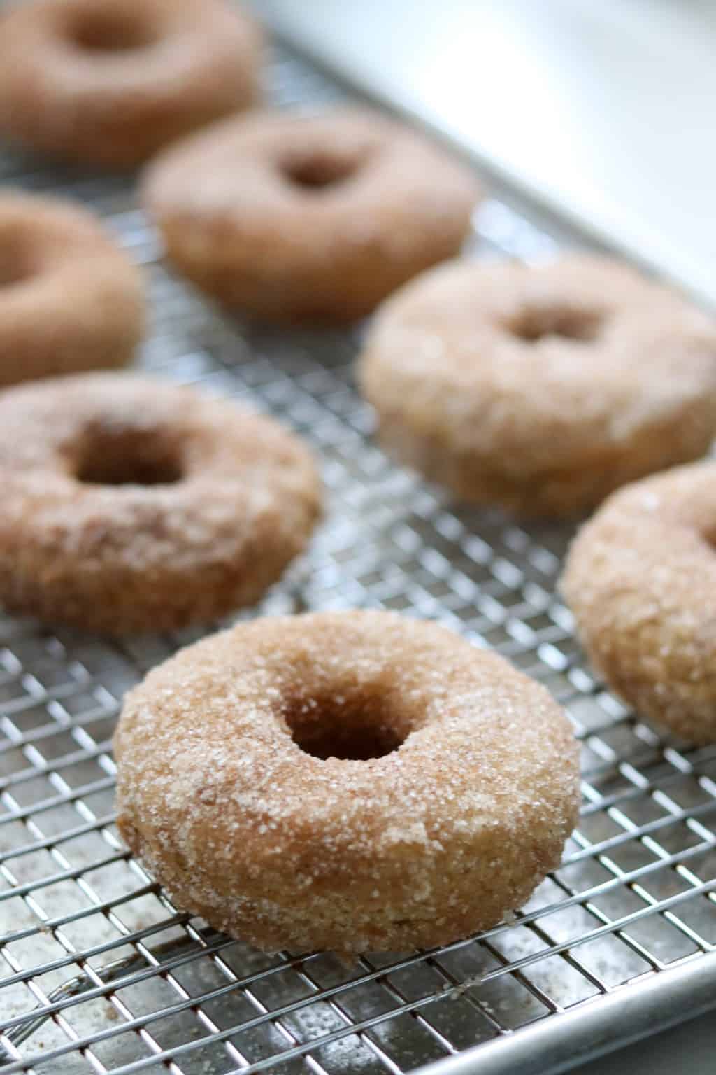 Easy Baked Apple Donuts - True North Kitchen