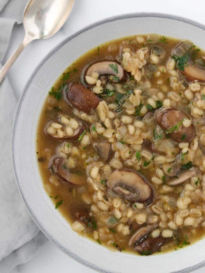 Swedish Fruit Soup (Fruktsoppa) - True North Kitchen