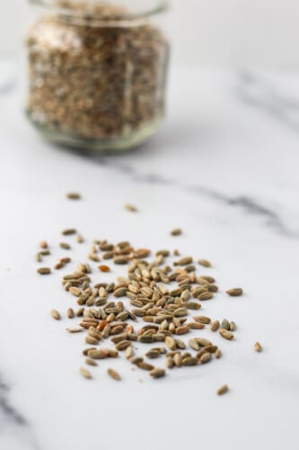 The Essential Guide to Cooking and Baking with Rye (with Recipes ...