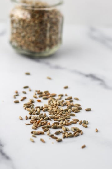 The Essential Guide to Cooking and Baking with Rye (with Recipes ...