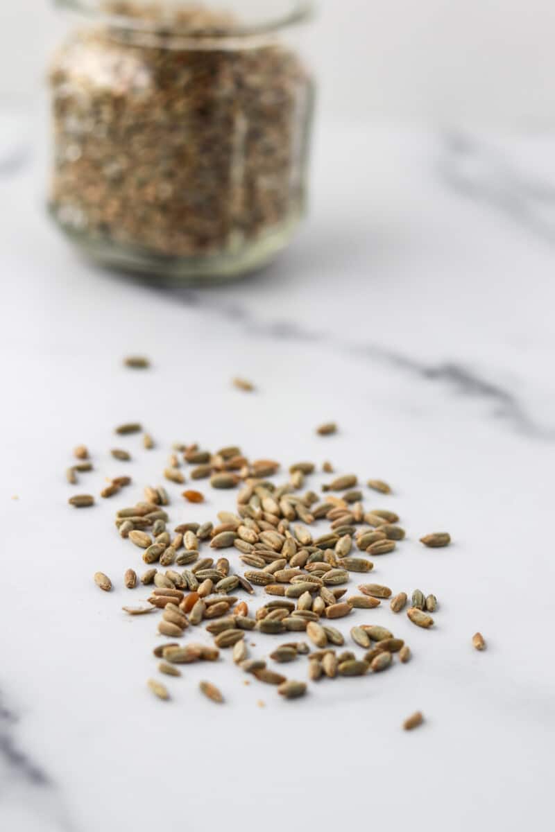 The Essential Guide to Cooking and Baking with Rye (with Recipes ...