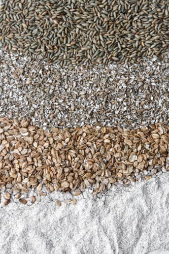 The Essential Guide to Cooking and Baking with Rye (with Recipes ...