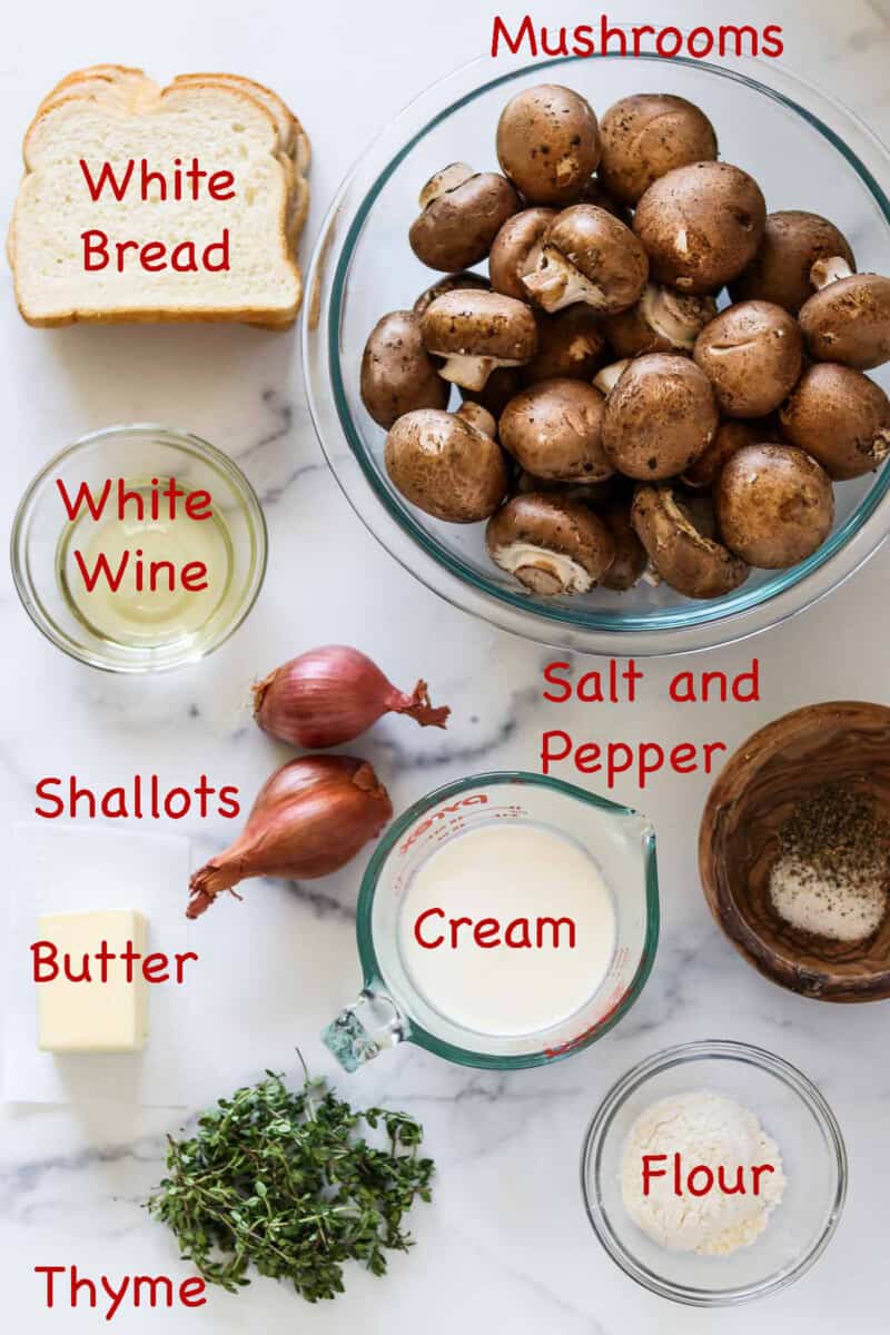 Creamy Mushroom Gratin - True North Kitchen