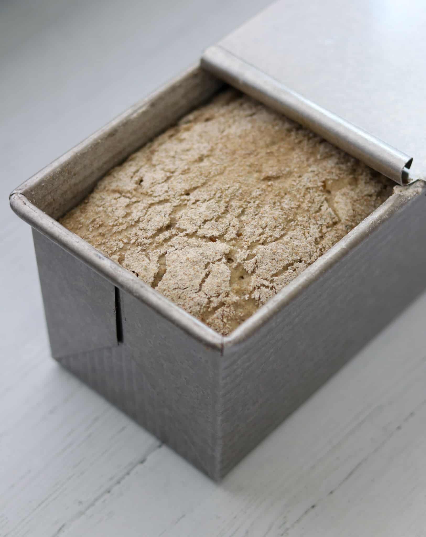 Easy Overnight Danish Rye Bread (Rugbrød) - True North Kitchen