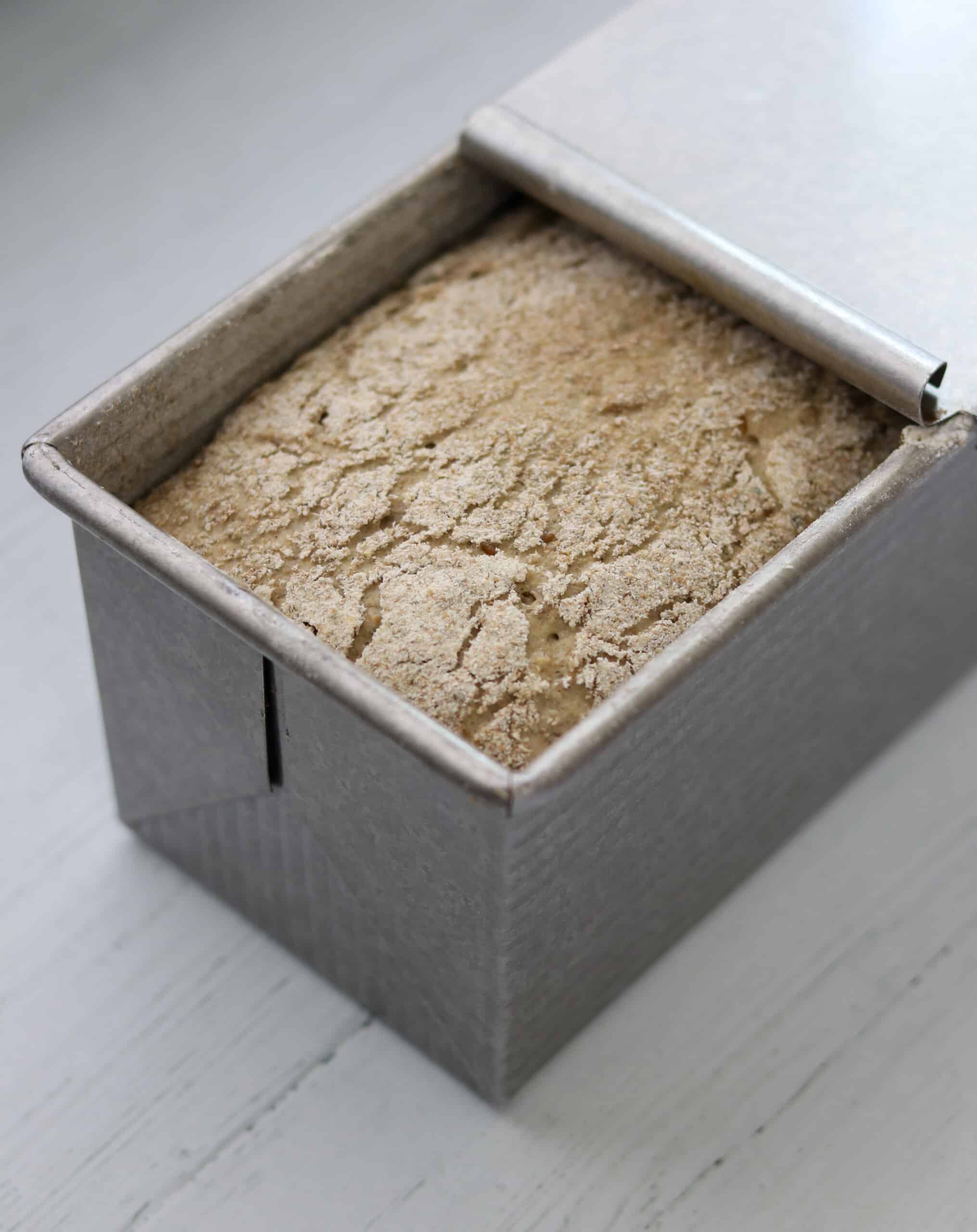 Easy Overnight Danish Rye Bread (Rugbrød) - True North Kitchen