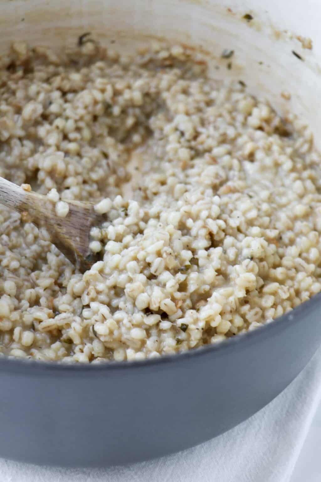Creamy Baked Barley Risotto with Mushrooms - True North Kitchen