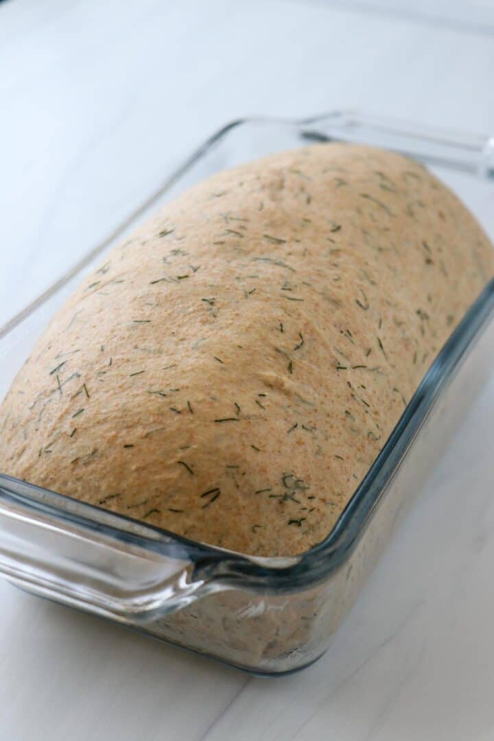 Soft Dill Bread (made with Cottage Cheese) - True North Kitchen