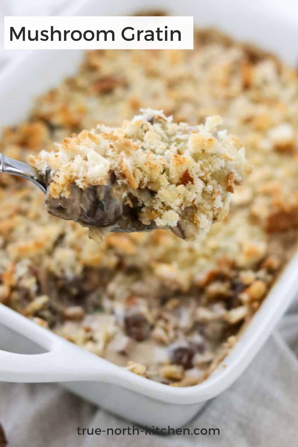Creamy Mushroom Gratin - True North Kitchen