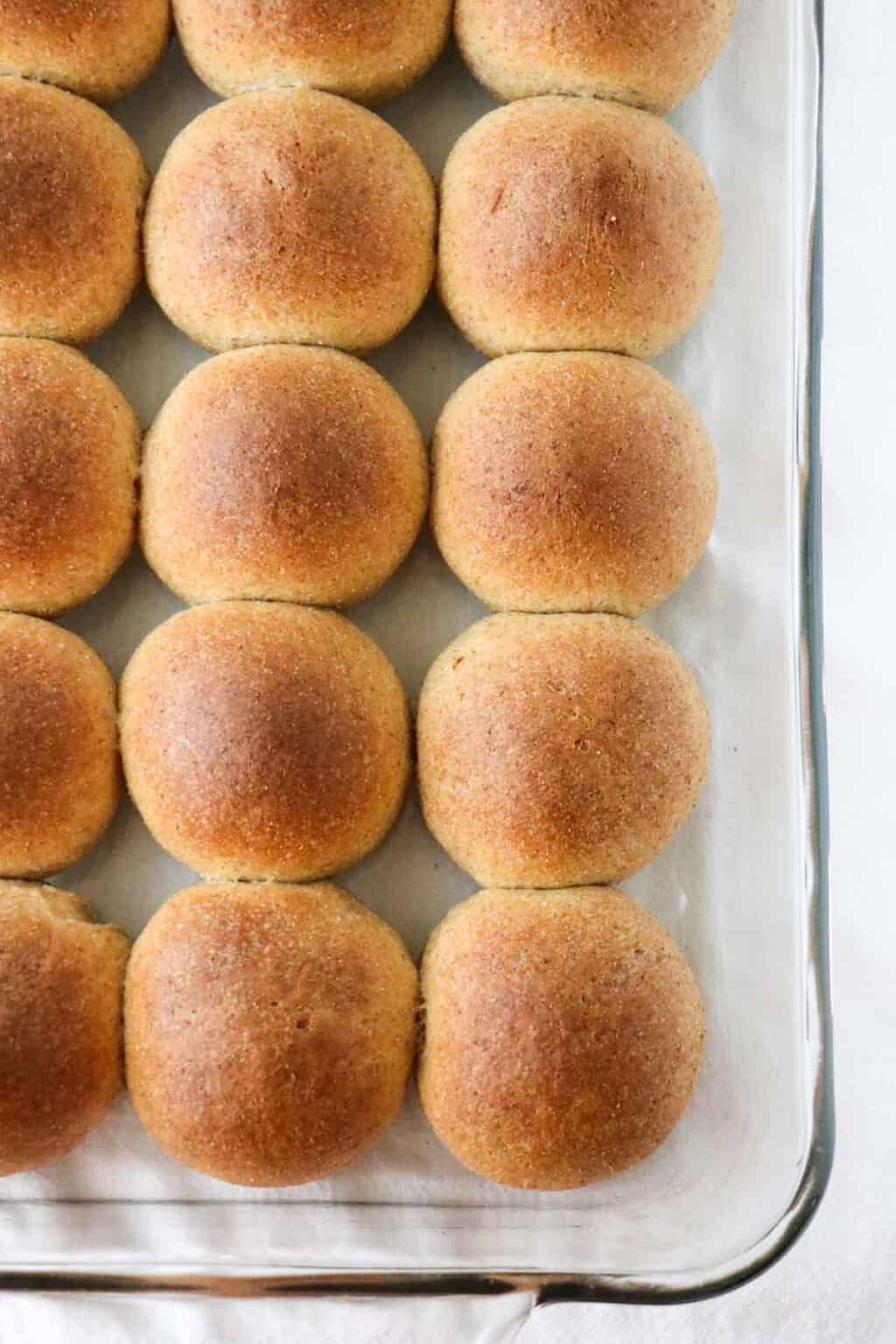 Soft Rye Dinner Rolls - True North Kitchen