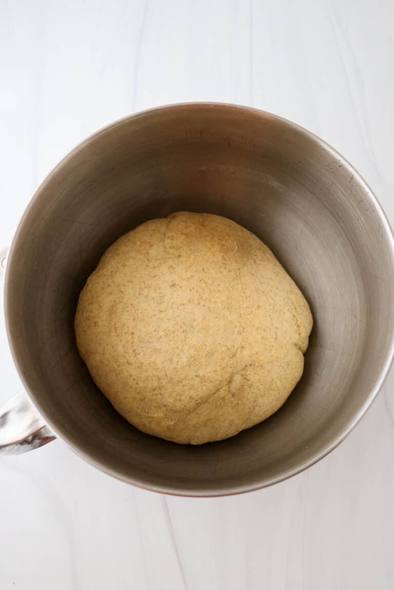 Soft Rye Dinner Rolls - True North Kitchen